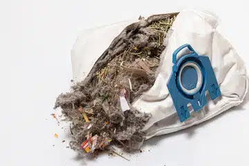 Allergia agli acari: cause, sintomi e rimedi per stare meglio